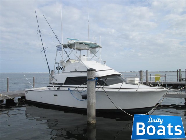 1979 Bertram Sport Fisherman Sedan for sale. View price, photos and Buy ...