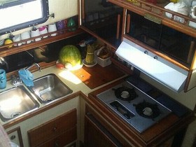 1982 Campion Boats 310 for sale. View price, photos and Buy 1982 ...