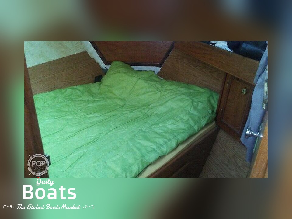 1982 Campion Boats 310 for sale. View price, photos and Buy 1982 ...