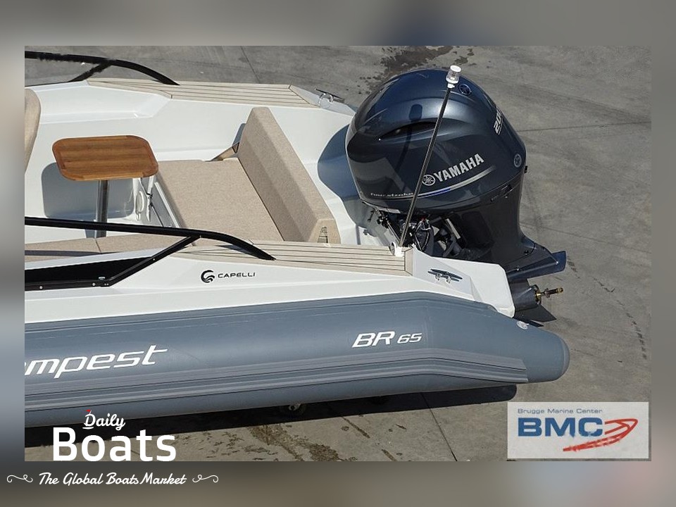 2020 Capelli Boats Tempest 650 for sale. View price, photos and Buy ...