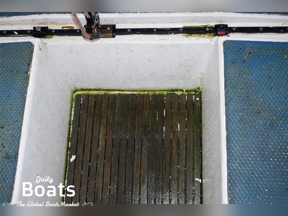 1974 Forgus 31 for sale. View price, photos and Buy 1974 Forgus 31 #190250