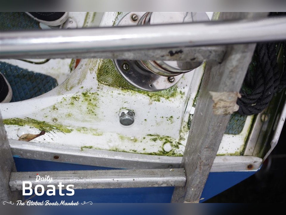 1974 Forgus 31 for sale. View price, photos and Buy 1974 Forgus 31 #190250