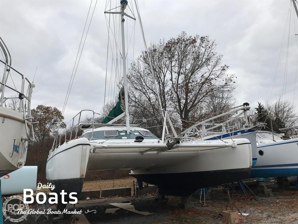 1999 Wildcat 350 for sale. View price, photos and Buy 1999 Wildcat 350 ...