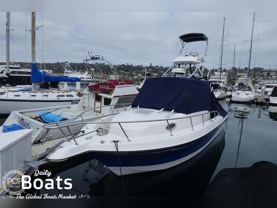 2005 Pro-Line 31 Express for sale. View price, photos and Buy 2005 Pro ...