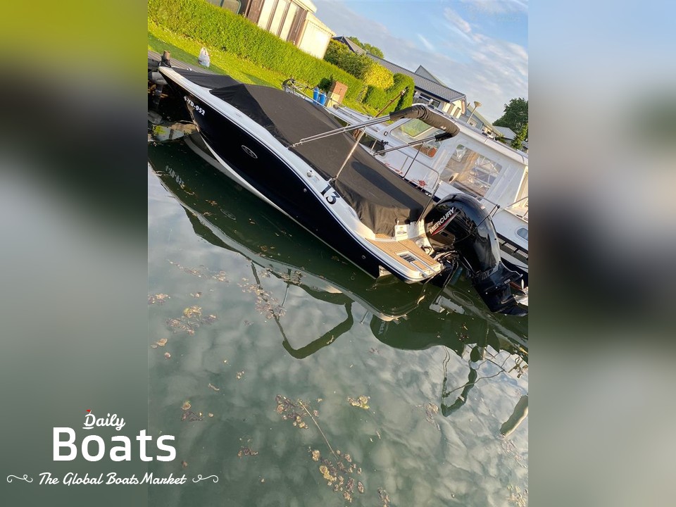 2020 Sea Ray Boats 190 Spx for sale. View price, photos and Buy 2020 ...