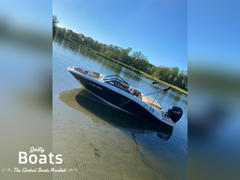 2020 Sea Ray Boats 190 Spx for sale. View price, photos and Buy 2020 ...