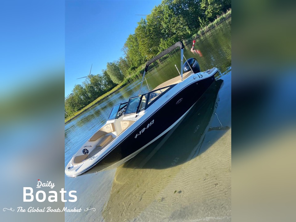 2020 Sea Ray Boats 190 Spx for sale. View price, photos and Buy 2020 ...