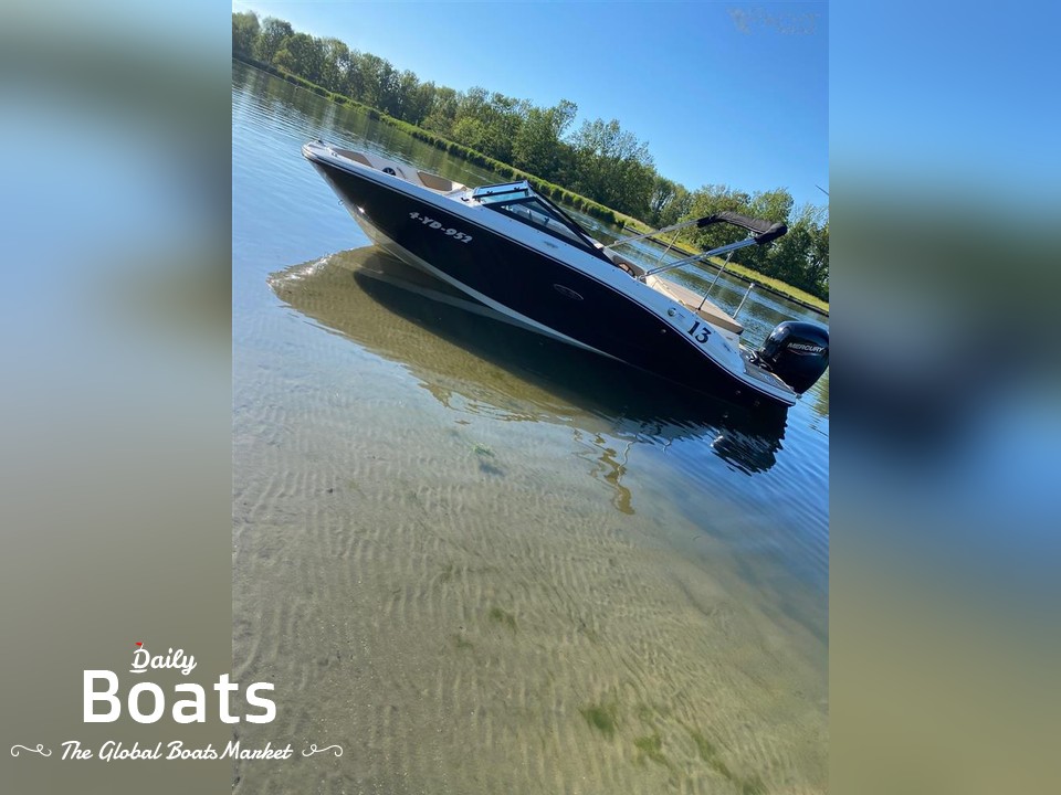 2020 Sea Ray Boats 190 Spx for sale. View price, photos and Buy 2020 ...