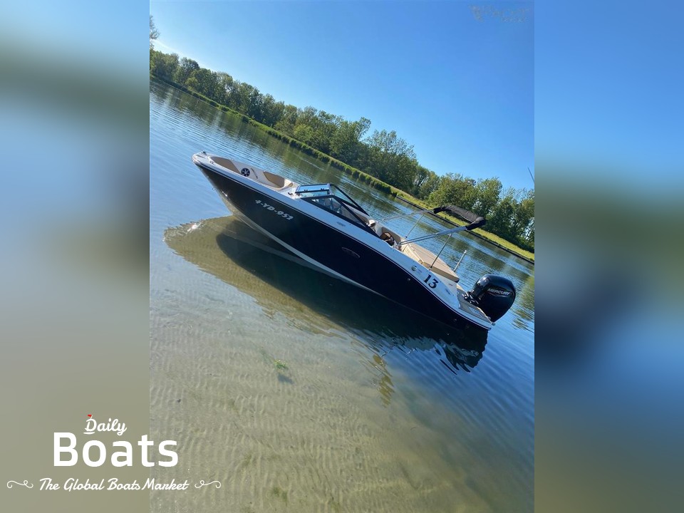 2020 Sea Ray Boats 190 Spx for sale. View price, photos and Buy 2020 ...