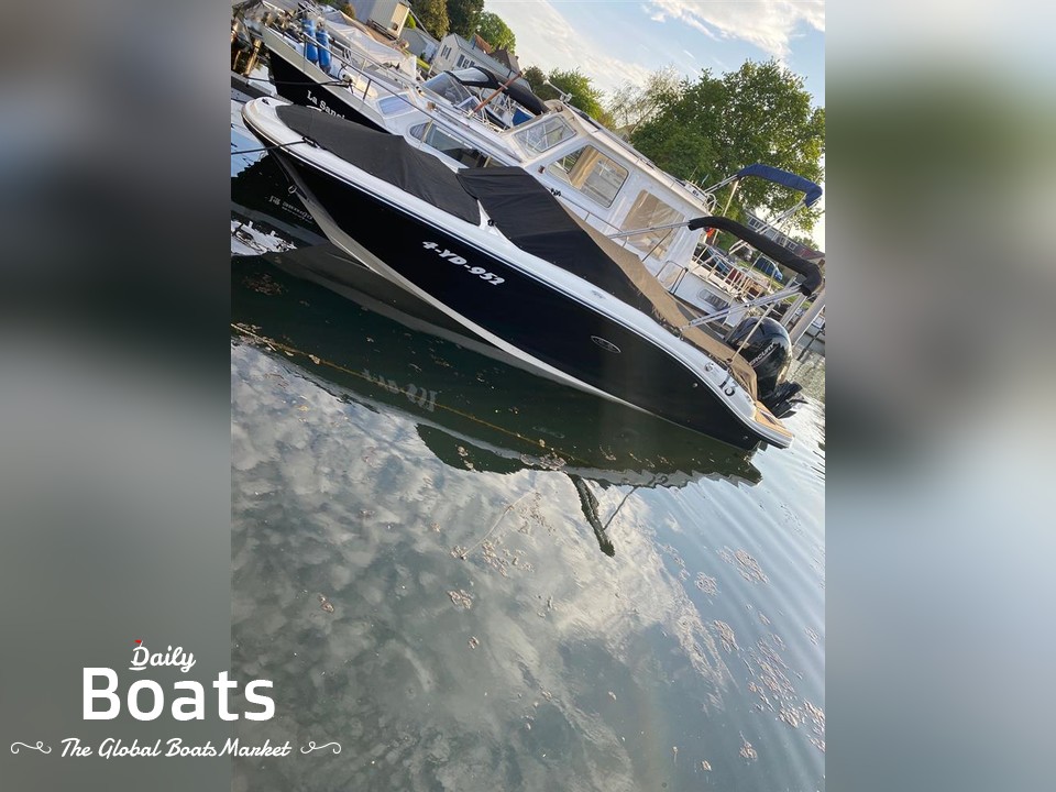 2020 Sea Ray Boats 190 Spx for sale. View price, photos and Buy 2020 ...