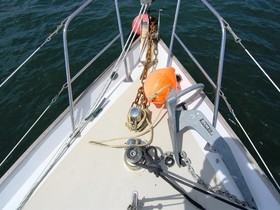 1988 Saltram Saga 36 for sale. View price, photos and Buy 1988 Saltram ...