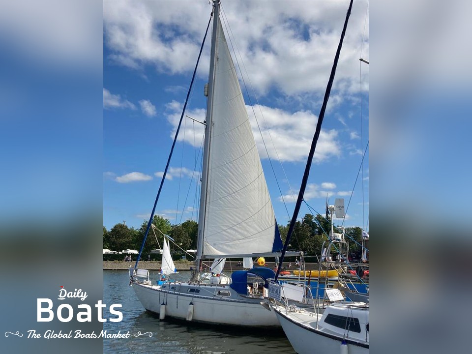 1981 Ohlson 38 for sale. View price, photos and Buy 1981 Ohlson 38 #194603