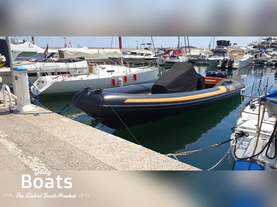 2015 SACS Marine Strider 10 for sale. View price, photos and Buy 2015 ...