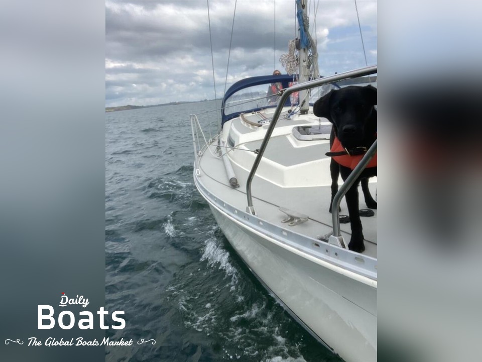 1979 Moody 30 for sale. View price, photos and Buy 1979 Moody 30 #198146