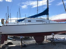 Mg spring 25 for sale - Daily Boats