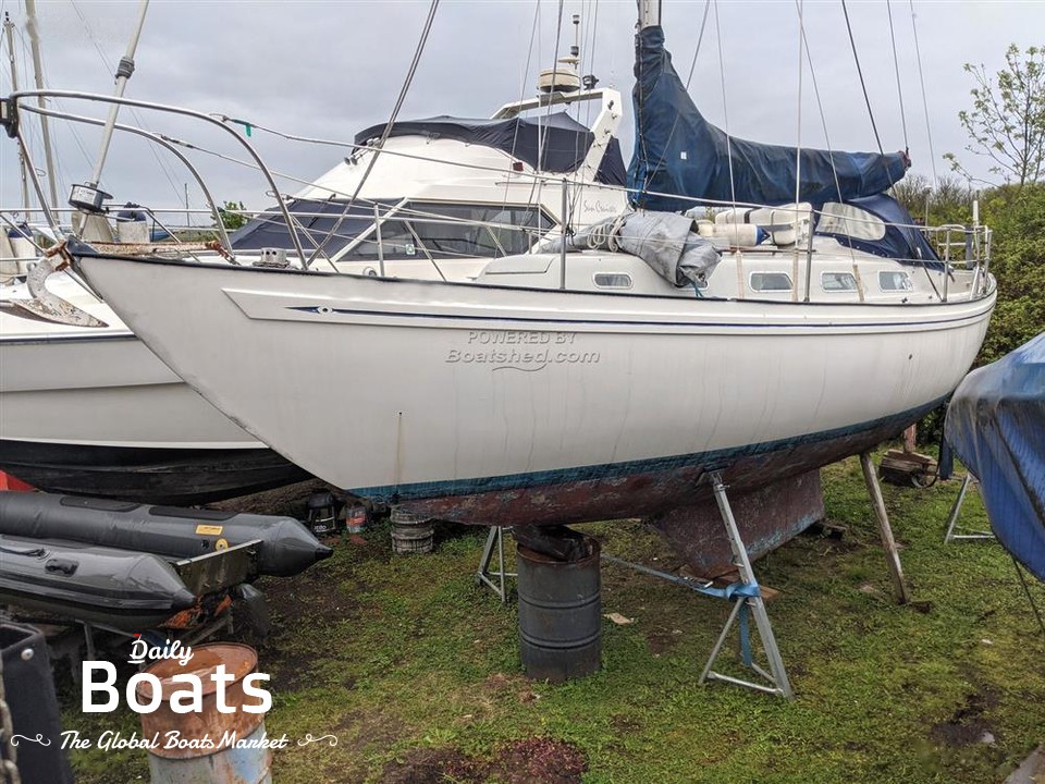 Rival 34 for sale. View price, photos and Buy Rival 34 #205215