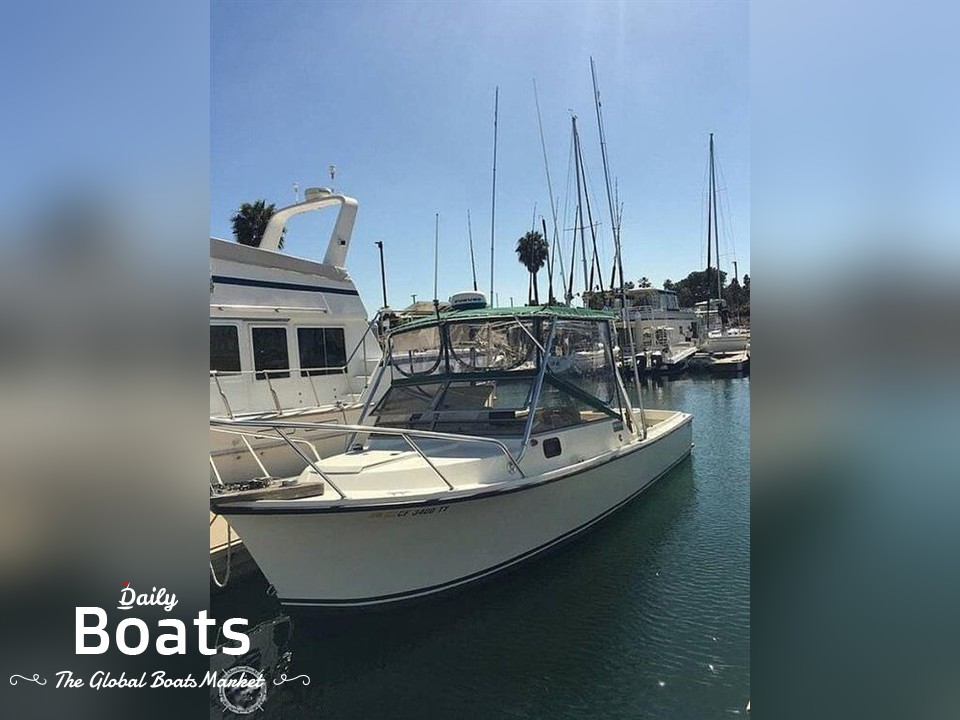 1989 Shamrock 26 Predator for sale. View price, photos and Buy 1989 ...