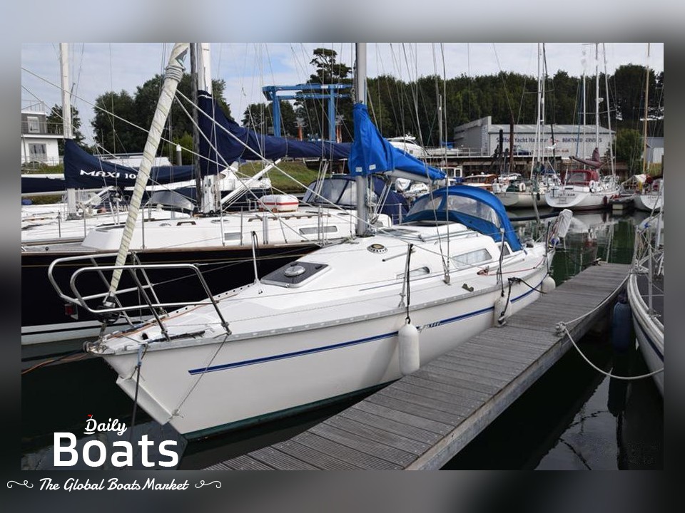 Parker 285 en venta - Daily Boats