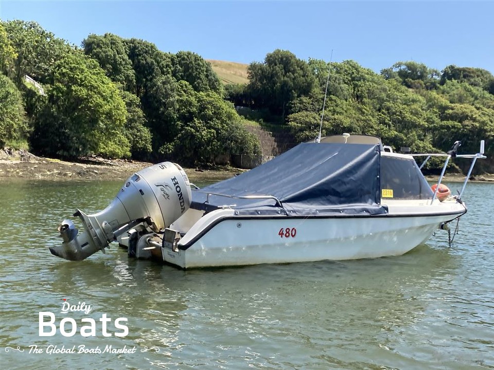 2006 Pirate Boats 480 for sale. View price, photos and Buy 2006 Pirate ...