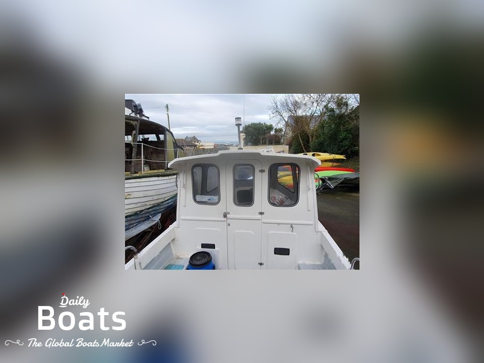 1999 Redbay Boats Fastfisher 21 for sale. View price, photos and Buy ...