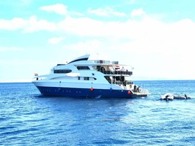 Commercial boats Dive Boat custom for sale - Daily Boats