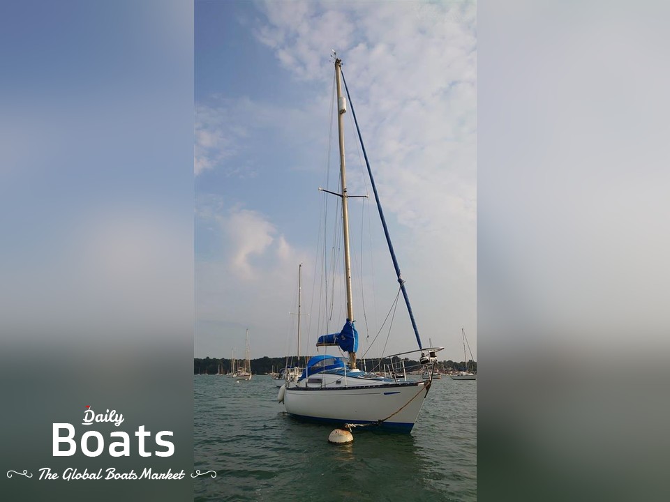 1980 Seamaster 28 for sale. View price, photos and Buy 1980 Seamaster ...