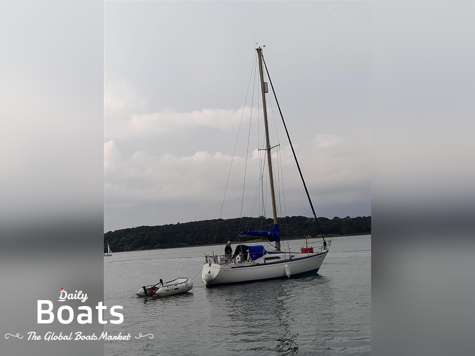 1980 Seamaster 28 for sale. View price, photos and Buy 1980 Seamaster ...