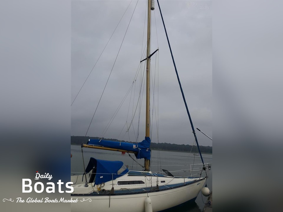 1980 Seamaster 28 for sale. View price, photos and Buy 1980 Seamaster ...