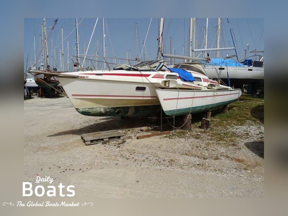 1995 Dragonfly 1000 Swing Wing for sale. View price, photos and Buy ...