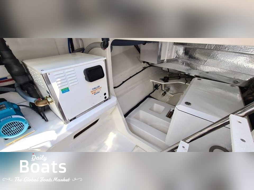 Robertson And Caine Leopard 53 for sale. View price, photos and Buy ...