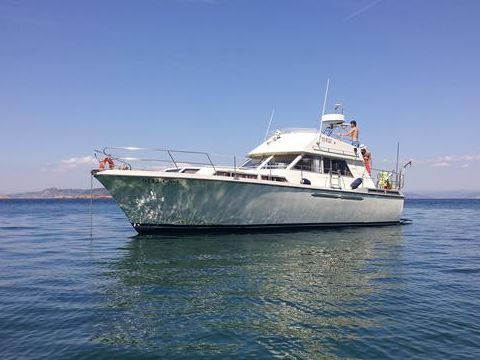 1979 Princess 41 for sale. View price, photos and Buy 1979 Princess 41 ...