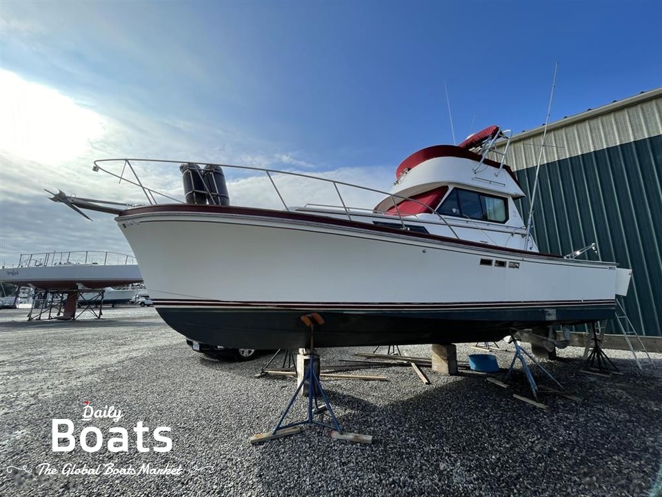 1987 Shannon Brendan 32 Sedan Bridge for sale. View price, photos and ...