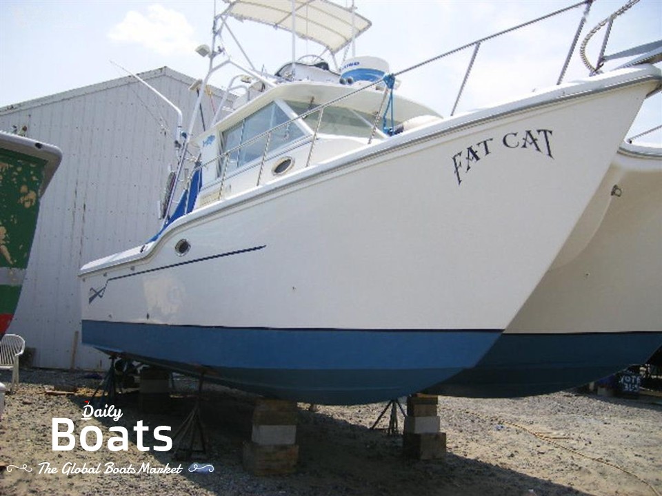 1999 Baha King Cat 34 for sale. View price, photos and Buy 1999 Baha ...