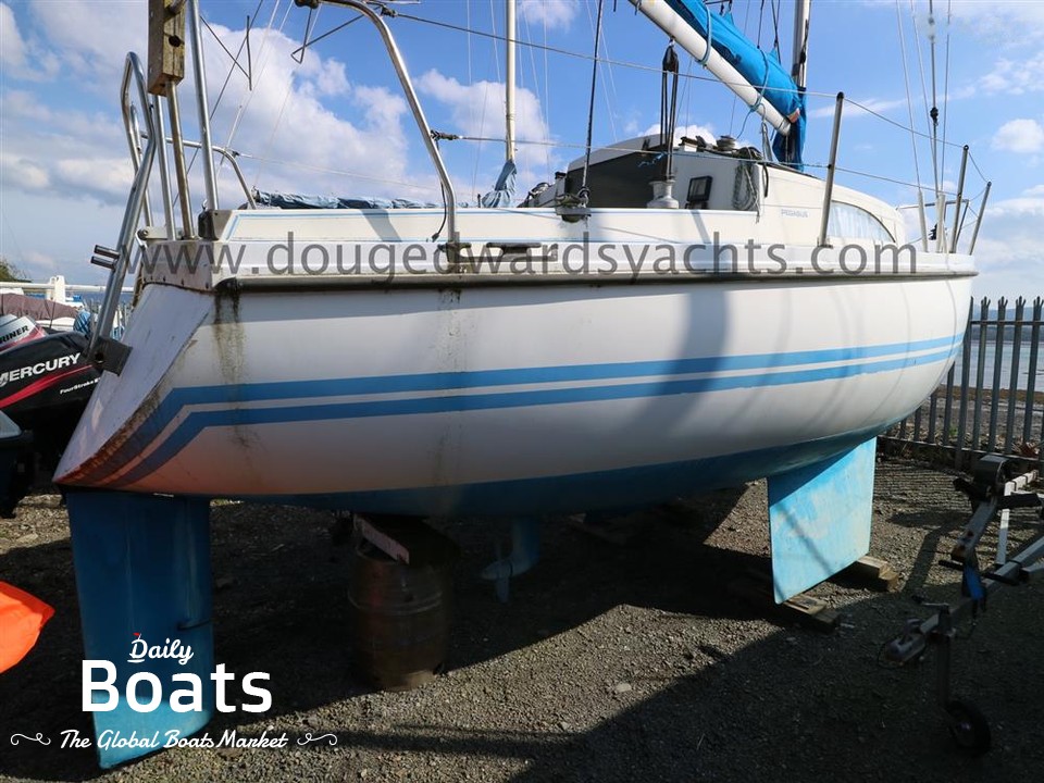 1989 Pegasus 800 for sale. View price, photos and Buy 1989 Pegasus 800 ...