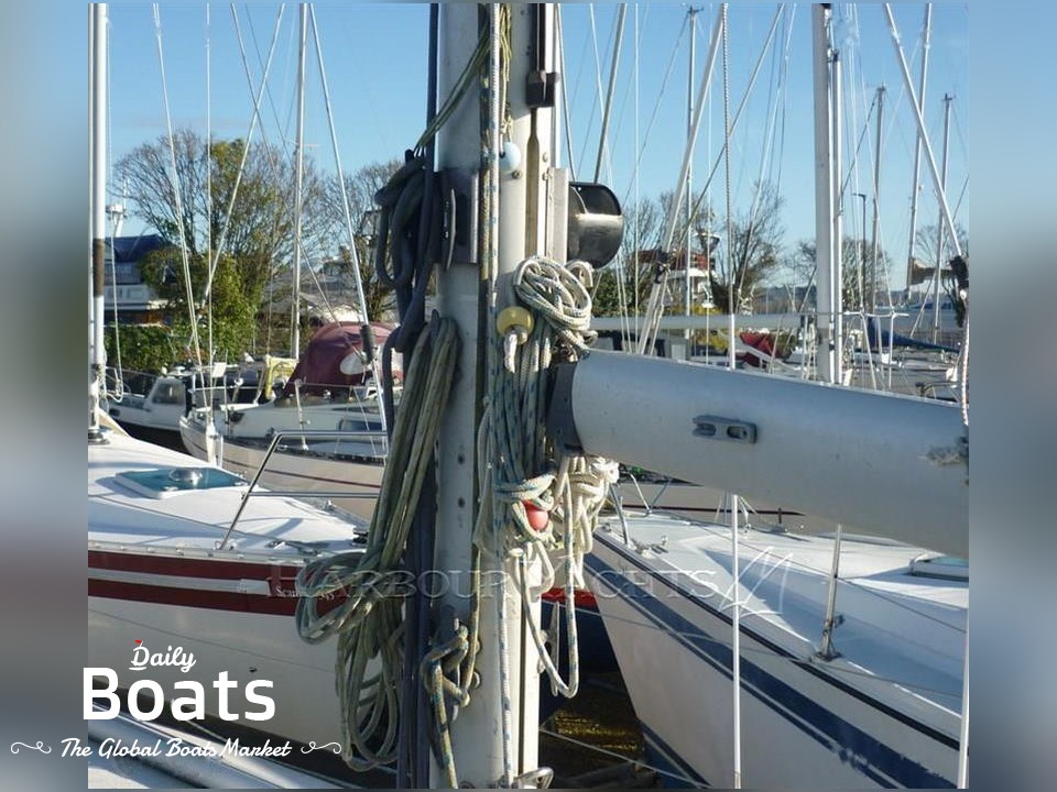 1977 Carter 33 for sale. View price, photos and Buy 1977 Carter 33 #218522