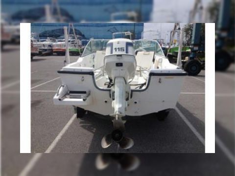1996 Boston Whaler 17 Dauntless for sale. View price, photos and Buy ...
