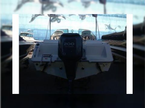 2008 Dual Cobia 215 Console for sale. View price, photos and Buy 2008 ...