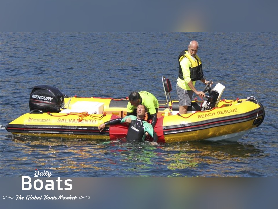 Narwhal Inflatable Craft NK450-R for sale. View price, photos and Buy ...