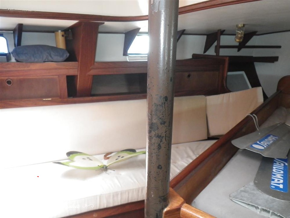 1978 Dick Zaal Black Pearl For Sale View Price Photos And Buy 1978