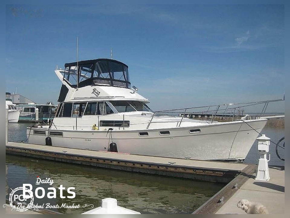 1989 Bayliner Boats 3888 for sale. View price, photos and Buy 1989 ...