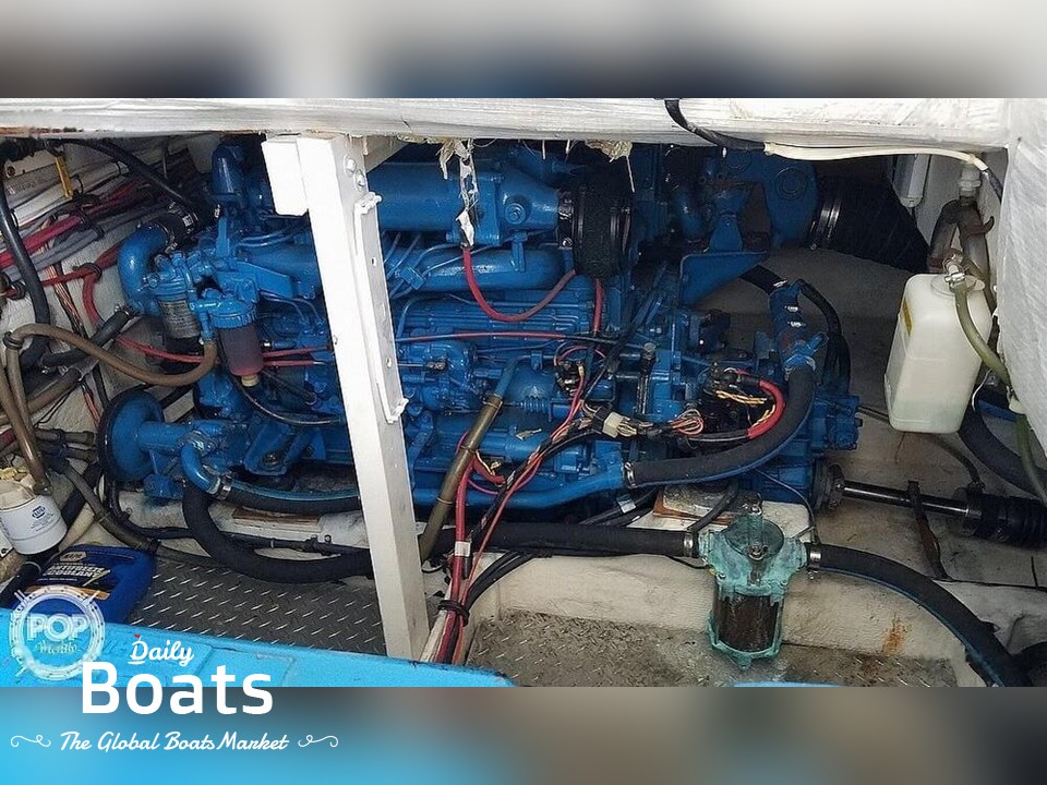 1989 Bayliner Boats 3888 for sale. View price, photos and Buy 1989 ...