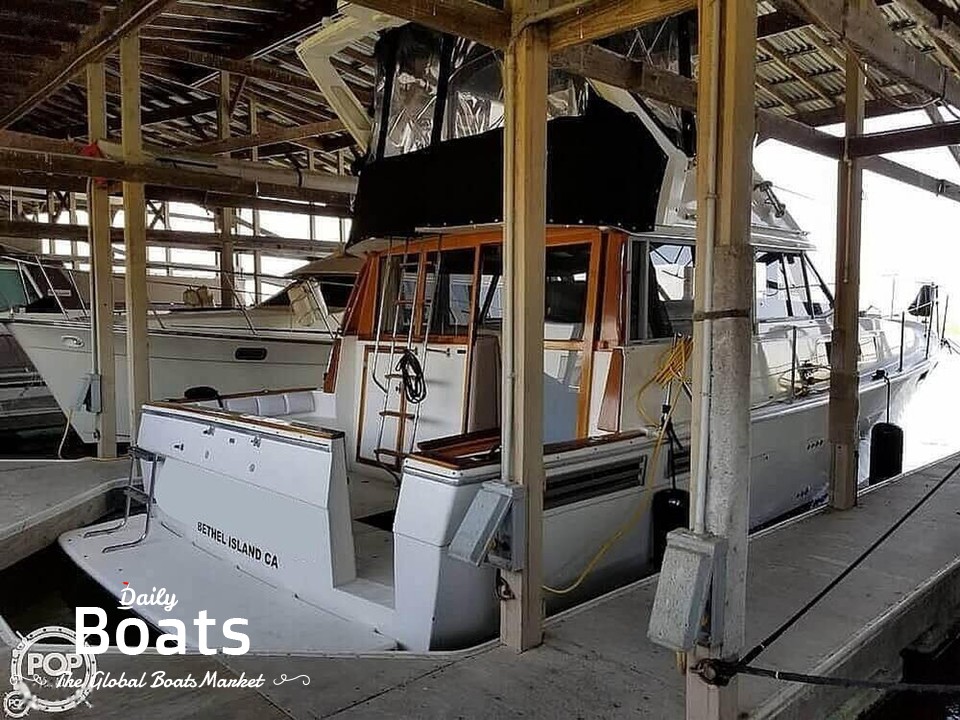 1989 Bayliner Boats 3888 for sale. View price, photos and Buy 1989 ...