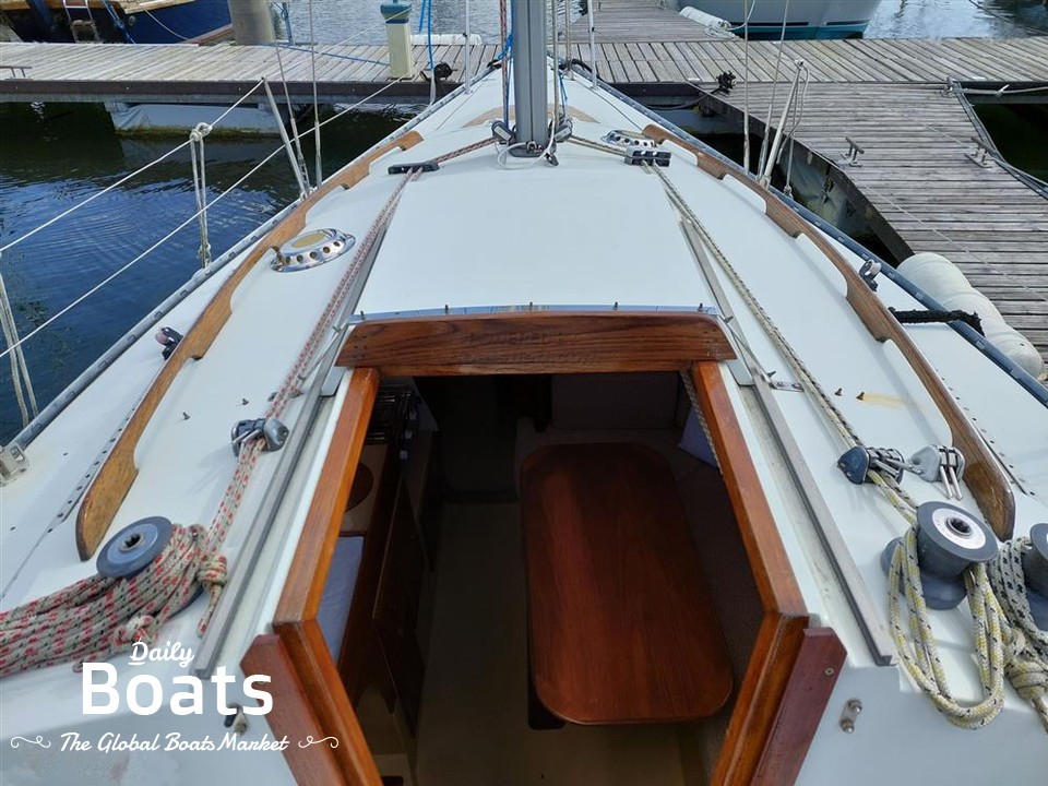 Trapper 300 for sale. View price, photos and Buy Trapper 300 #226257