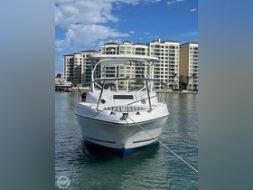 2001 Campion Boats Explorer 602 for sale. View price, photos and Buy ...