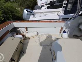 Rampage Express 24 for sale. View price, photos and Buy Rampage Express ...