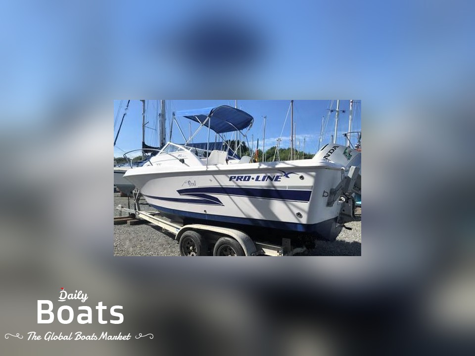 2002 Pro-Line 20 Walkaround for sale. View price, photos and Buy 2002 ...