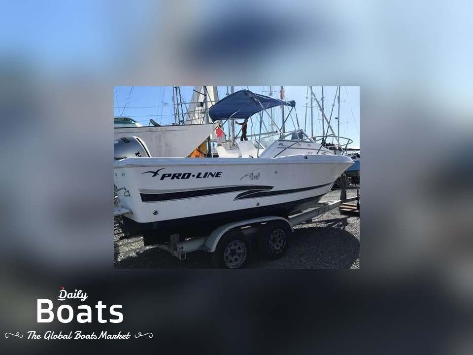 2002 Pro-Line 20 Walkaround for sale. View price, photos and Buy 2002 ...