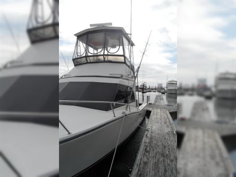 1989 Albemarle 325 Convertible for sale. View price, photos and Buy ...