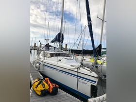 Wrighton biloup 36 for sale - Daily Boats