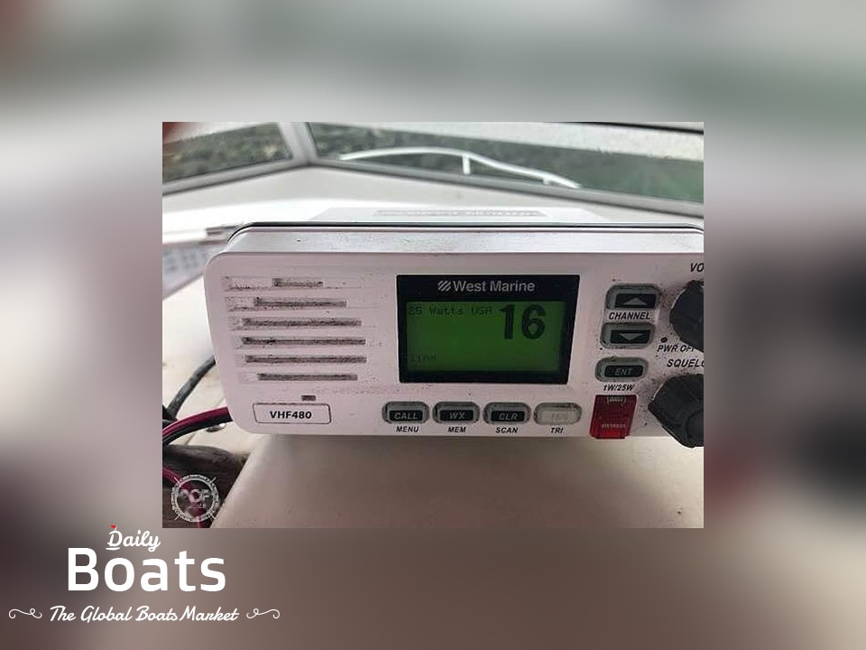 1988 Hinterhoeller Limestone 24 Express for sale. View price, photos ...